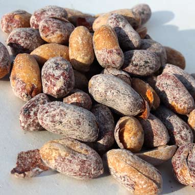 Roasted Salted Georgia Peanuts | Fire Roasted | Highest Quality Peanuts