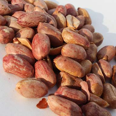 Roasted Sudani Peanuts | Georgia Peanuts | Slight Hint of Salt