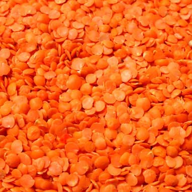 Red Lentils Slices | Vegetarian | Lentil Soup | 32oz | Hashems