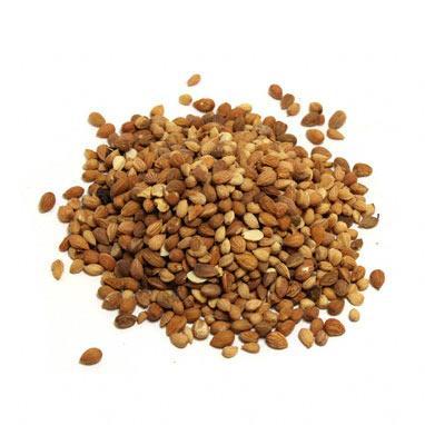 Mahlab Whole | Mahlepi | Potent Aroma and Flavor