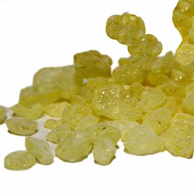 Interesting Facts About Mastic | Hashems.com